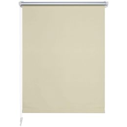 Seitenzugrollo Liedeco Gr. 1, gelb (vanille), B:60cm H:150cm, Polyester, Rollos, Seitenzugrollo
