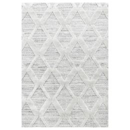 Ayyildiz Webteppich Pisa 4703 Grau ca. 160x230cm