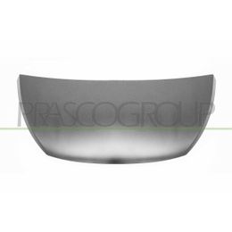 PRASCO Motorhaube ft9003100 f&uuml;r Fiat