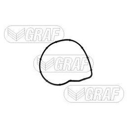 Graf Wasserpumpe pa1232 f&uuml;r Opel Peugeot DS MINI