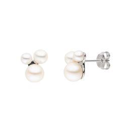 Perlenohrringe Firetti "Schmuck Geschenk Ohrschmuck Perle", bunt (silberfarben, wei&szlig;), Ohrringe, Damen, Perlen Silber 925 (Sterlingsilber), Perlen, Silber 925 (Sterlingsilber), Made in Germany - mit S&uuml;&szlig;wasserzuchtperle