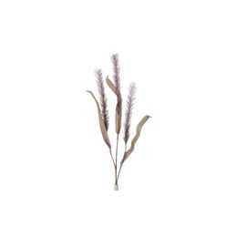 H&ouml;ffner Soft Flower Liriope lila/violett Metall,Kunststoff Ma&szlig;e (cm): H: 118 &raquo; H&ouml;ffner
