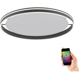 LED Deckenleuchte "Q-VITO", anthrazit, 1, &Oslash; 79,4cm, 1 Stk., NEUHAUS Q SMART HOME LIGHTS, Leuchten, LED Deckenleuchte
