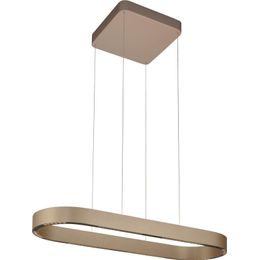 LED Pendelleuchte "Q-STRETTO", bronzefarben, 1, 1 Stk., NEUHAUS Q DESIGN CONTROL LIGHTS, Leuchten, LED Pendelleuchte
