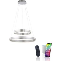 LED Pendelleuchte "Q-VITO", stahlfarben, 1, &Oslash; 59cm, 1 Stk., NEUHAUS Q SMART HOME LIGHTS, Leuchten, LED Pendelleuchte