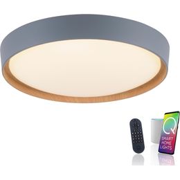 LED Deckenleuchte "Q-EMILIA", grau, 1, &Oslash; 49,6cm, 1 Stk., NEUHAUS Q SMART HOME LIGHTS, Leuchten, LED Deckenleuchte