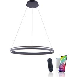 LED Pendelleuchte "Q-VITO", anthrazit, 1, &Oslash; 79,4cm, 1 Stk., NEUHAUS Q SMART HOME LIGHTS, Leuchten, LED Pendelleuchte