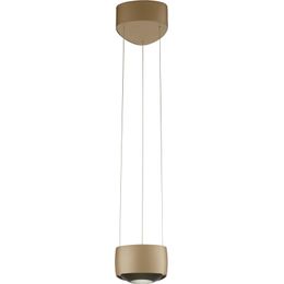 LED Pendelleuchte "Q-STRETTO", bronzefarben, 2, 1 Stk., NEUHAUS Q DESIGN CONTROL LIGHTS, Leuchten, LED Pendelleuchte