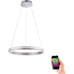 LED Pendelleuchte "Q-VITO", stahlfarben, 1, &Oslash; 59cm, 1 Stk., NEUHAUS Q SMART HOME LIGHTS, Leuchten, LED Pendelleuchte