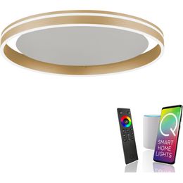 LED Deckenleuchte "Q-VITO", messingfarben matt, 1, &Oslash; 59cm, 1 Stk., NEUHAUS Q SMART HOME LIGHTS, Leuchten, LED Deckenleuchte
