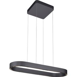 LED Pendelleuchte "Q-STRETTO", schwarz, 1, 1 Stk., NEUHAUS Q DESIGN CONTROL LIGHTS, Leuchten, LED Pendelleuchte