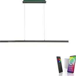 LED Pendelleuchte "Q-ARIAN", schwarz (anthrazit), 3, 1 Stk., NEUHAUS Q SMART HOME LIGHTS, Leuchten, LED Pendelleuchte