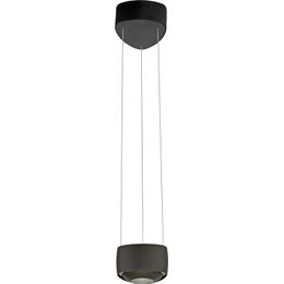 LED Pendelleuchte "Q-STRETTO", schwarz, 2, 1 Stk., NEUHAUS Q DESIGN CONTROL LIGHTS, Leuchten, LED Pendelleuchte