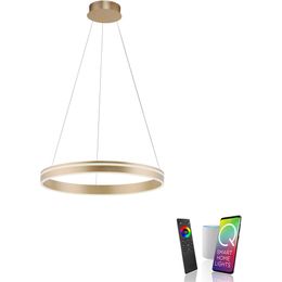 LED Pendelleuchte "Q-VITO", messingfarben matt, 1, &Oslash; 59cm, 1 Stk., NEUHAUS Q SMART HOME LIGHTS, Leuchten, LED Pendelleuchte