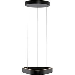 LED Pendelleuchte "Q-STRETTO", schwarz, 1, 1 Stk., NEUHAUS Q DESIGN CONTROL LIGHTS, Leuchten, LED Pendelleuchte