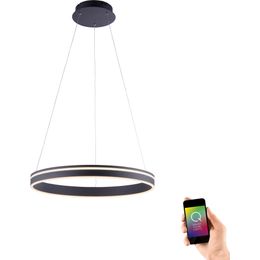 LED Pendelleuchte "Q-VITO", anthrazit, 1, &Oslash; 59cm, 1 Stk., NEUHAUS Q SMART HOME LIGHTS, Leuchten, LED Pendelleuchte