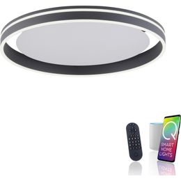 LED Deckenleuchte "Q-VITO", anthrazit, 1, &Oslash; 59cm, 1 Stk., NEUHAUS Q SMART HOME LIGHTS, Leuchten, LED Deckenleuchte