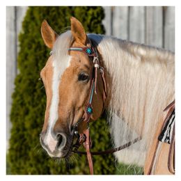 L-pro West Westerntrense Nashville braun/blau VB
