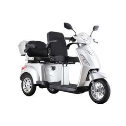ECONELO E-Seniorenmobil Billy 2.0, Blei-Akku, 3-Rad, 60V, 1000 Watt, normal Sitz, Silber