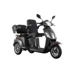 ECONELO E-Seniorenmobil Billy 2.0, Blei-Akku, 3-Rad, 60V, 1000 Watt, gro&szlig; Sitz, Grau