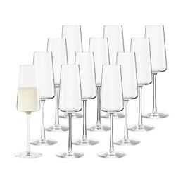 St&ouml;lzle Lausitz St&ouml;lzle Lausitz Champagnergl&auml;ser Power 240 ml 12er Set