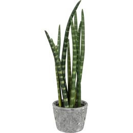 Kunstpflanze Creativ green "Sanseveria", gr&uuml;n, B:12cm H:46cm T:9cm, Kunststoff, Kunstpflanzen, Kunstpflanze