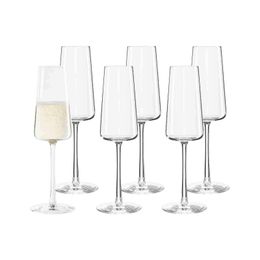 Champagnerglas ST&Ouml;LZLE "Champagnergl&auml;ser Power 240 ml 6er Set transparent", bunt (transparent), Glas, Trinkgef&auml;&szlig;e