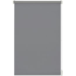 Seitenzugrollo Gardinia "EASYFIX Rollo Uni" Gr. 5, grau (steingrau), B:120cm H:150cm, Polyester, Rollos, Seitenzugrollo, in sanften Pastellt&ouml;nen
