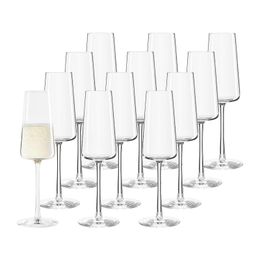 Champagnerglas ST&Ouml;LZLE "Champagnergl&auml;ser Power 240 ml 12er Set transparent", bunt (transparent), 12 tlg., Glas, Trinkgef&auml;&szlig;e