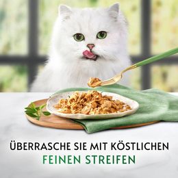 GOURMET Nature's Creations reich an Thunfisch und Hochseefisch 48x85 g