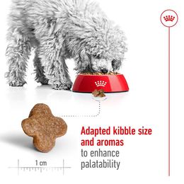 Royal Canin MINI Adult 8+ Hunde-Trockenfutter f&uuml;r &auml;ltere kleine Hunde 2kg