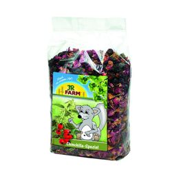 JR FARM Chinchilla-Spezial 500g