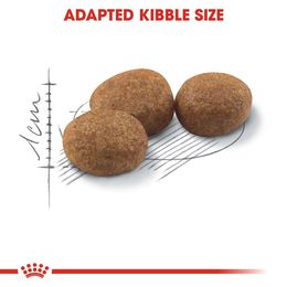 Royal Canin STERILISED Trockenfutter f&uuml;r kastrierte Katzen 2x10kg