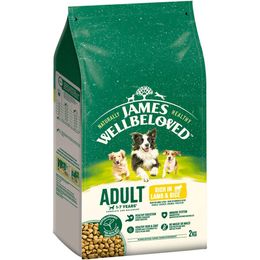 James Wellbeloved Adult Lamm und Reis 2 kg