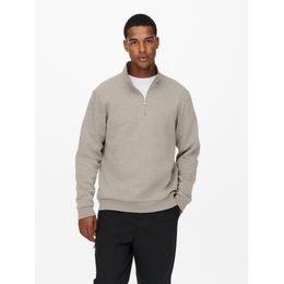 Only & Sons Sweatshirt ONLY & SONS "ONSCERES HALF ZIP SWEAT", Herren, Gr. M, silber (silber lining), angeraute Sweatware, Obermaterial: 65% Baumwolle, 35% Polyester, unifarben, regular fit normal, hoch geschlossener Ausschnitt, Rippb&uuml;ndchen, Sweatshirts Sweatshirt, Baumwollmischung, regular fit