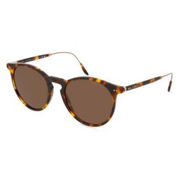 Polo by Ralph Lauren RL8181P | Herren-Sonnenbrille | Fassung: Vollrand, Panto, Acetat, Havanna | Glasfarbe: Braun