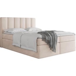 BOXBETT Amira mit Bettkasten, Samt Beige 120/200 cm &ndash; 7-Zonen Taschenfederkern-Matratze & Komfortschaum-Topper
