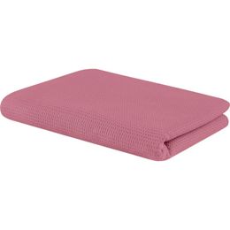 SETEX Wohndecke &raquo;Waffeldecke&laquo; aus Waffelpiqu&eacute;, auch als Tagesdecke geeignet, Kuscheldecke rosa Baumwolle B/L: 150cm x 200cm