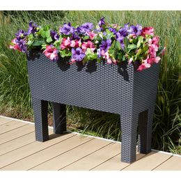 Prosperplast Pflanzk&uuml;bel &raquo;Rato Case High&laquo; BxTxH: 80x33x65 cm schwarz Kunststoff B/H/T: 80cm x 65cm x 33cm