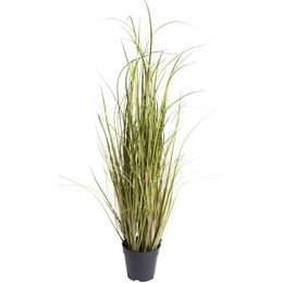 Kunstgras &raquo;Grasarrangement Arusha&laquo; bunt Kunststoff &Oslash;/H: 45cm x 100cm