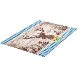 Grund Fu&szlig;matte &raquo;Hubertus&laquo; rechteckig 8 mm H&ouml;he Schmutzfangmatte, In- und Outdoor geeignet, waschbar braun Kunstfaser B : 50cm 1 Stk., 8mm, L: 70cm