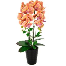 I.GE.A. Kunstblume &raquo;Orchidee&laquo; Im Topf Phalaenopsis Orchidee Phalaenopsis mit &Uuml;bertopf Hochzeit orange B/H/L: 26cm x 58cm x 18cm