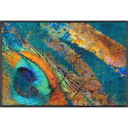 wash+dry by Kleen-Tex Fu&szlig;matte &raquo;Exotic Pavo&laquo; rechteckig 7 mm H&ouml;he Schmutzfangmatte, rutschhemmend, In- und Outdoor geeignet, waschbar bunt Kunstfaser 