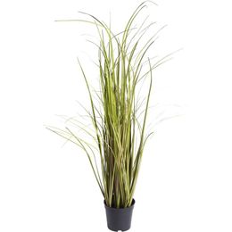 Kunstgras &raquo;Grasarrangement Arusha&laquo; bunt Kunststoff &Oslash;/H: 35cm x 75cm