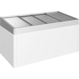 BioHort Fr&uuml;hbeetaufsatz &raquo;HochBeet&laquo; BxTxH: 200x101x23 cm silber B/H/T: 200cm x 23cm x 101cm