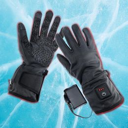 SHP Beheizbare Handschuhe, L