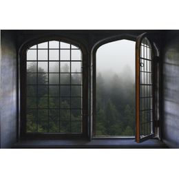 Wandsticker queence "Nebel", gr&uuml;n, B:60cm H:40cm, Vinyl, Wandtattoos, Wandsticker, Wandbild, selbstklebend, 3D, Fenster