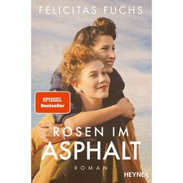 Rosen im Asphalt