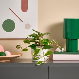 IKEA FEJKA Topfpflanze, k&uuml;nstlich