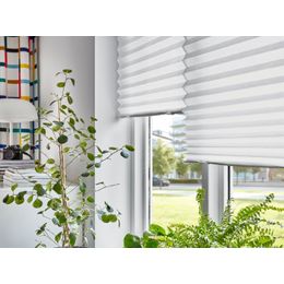 IKEA SCHOTTIS Plissee